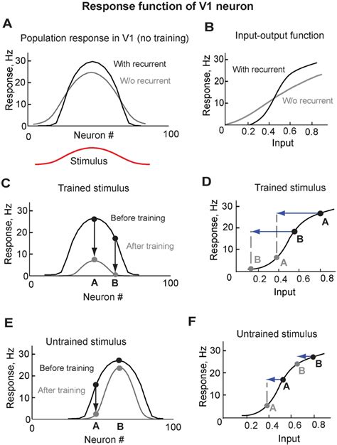 effect of feedbacks on population response in v1 a population