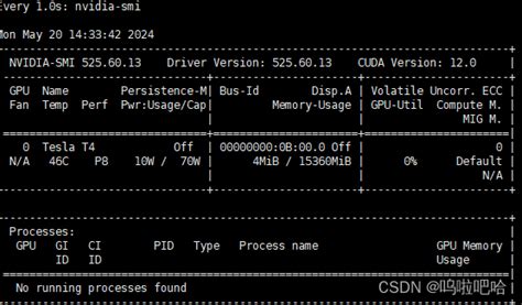 本地centos7 docker ollama gpu部署 ollama docker gpu csdn博客