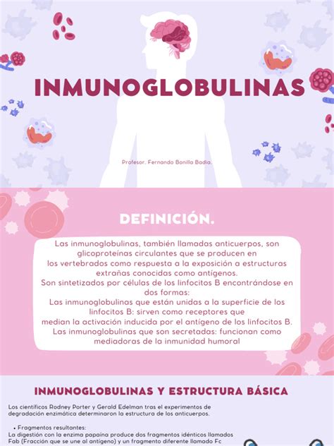 Inmunoglobulinas 20240426 062531 0000 Pdf Anticuerpo