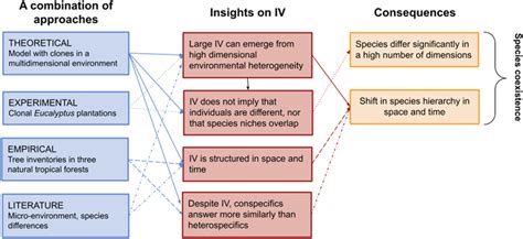 Multiple Insights On The Nature Of Iv And Its Consequences On Download Scientific Diagram