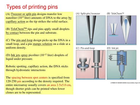Ppt Microarray Introduction Powerpoint Presentation Free Download