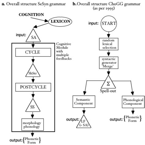 Overall Structure Of Sesyn And Chomskyan Generative Grammar Chogg Download Scientific Diagram