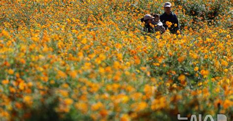 완연한 가을 날씨 즐겨요