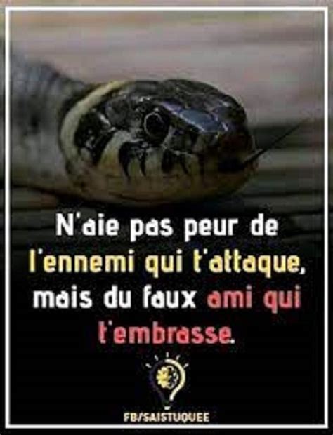 Politique By Mon Oeil Creation