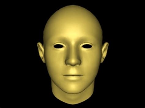 Head Mesh D Model