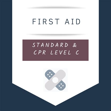 Standard First Aid And Cpr Aed Level C At Gladys Davy Blog
