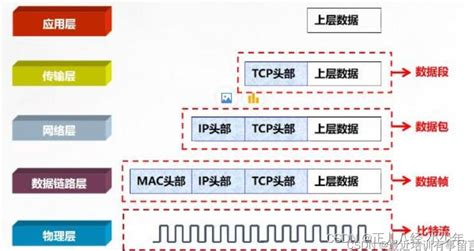 计算机网络学习笔记 计算机网络模型 Csdn博客