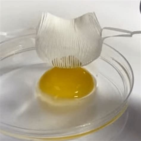 Bringing The Art Of Origami And Kirigami To Robotics And Medical Technology Hackaday