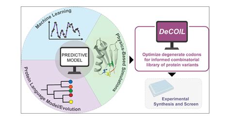 Decoil Optimization Of Degenerate Codon Libraries For Machine Learning Decoil Optimization Of Degenerate Codon Libraries For Machine Learning