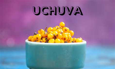 Totzone Sbcodez Swag Codez