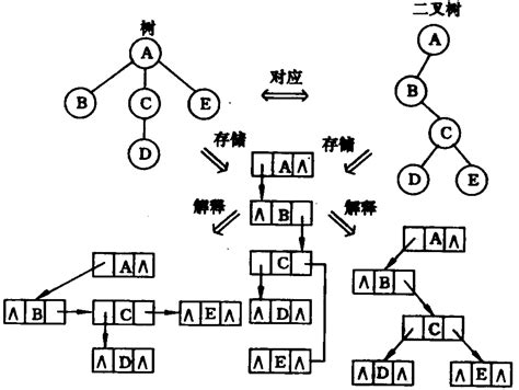 （四十三）第 6 章 树和二叉树（树的二叉链表孩子－兄弟存储）二叉链表转孩子兄弟链表 Csdn博客