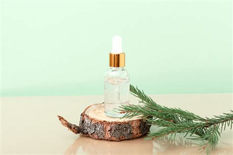 녹색 전나무 가지가있는 연한 녹색 배경에 나무 스탠드에 점적기가있는 투명한 유리로 만든 화장품 병 천연 침엽수 림 유기농 화장품