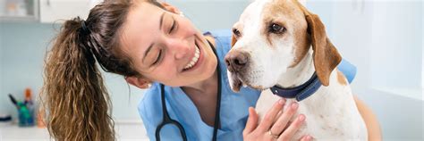 Certified Veterinary Assistant Short Term Training Vet Tech Assistant