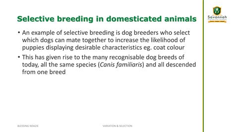 Variation And Natural Selection Igcse Biology Pdf