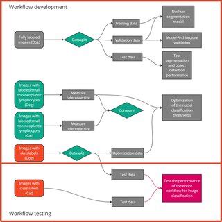 Flowchart Of The Experiment Workflow Representing The Data Processing Download Scientific