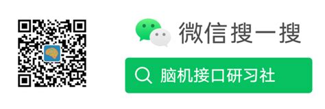 如何利用bindsnet python模拟脉冲神经网络（snn）？part ii 添加网络元件（adding network