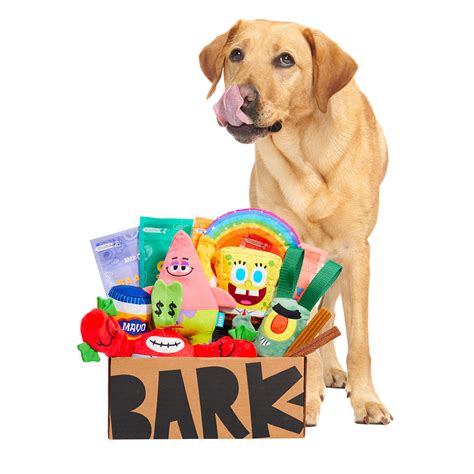 Barkbox Toys