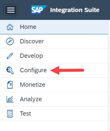 Create An API Provider System SAP Tutorials