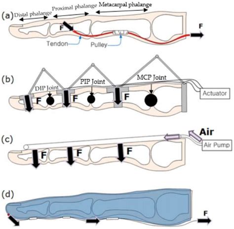 Figure 10 From Designing Anthropomorphic Robot Hand With Active Dual Mode Twisted String
