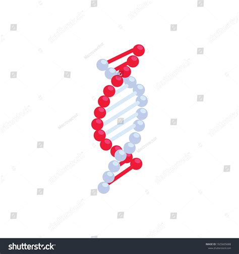 Matching Dna Images Stock Photos Vectors Shutterstock
