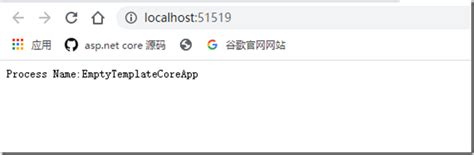 asp core中的launchsettings json 李sir 博客园