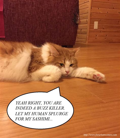 My Love Affair With Credit Cards For Urban Women Awarded Top Urban Blog Fashion