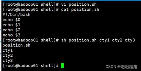Shell变量 Csdn博客
