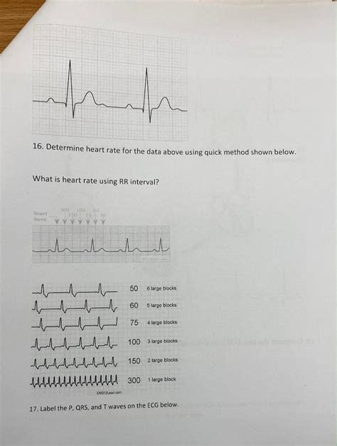 Solved Determine Heart Rate For The Data Above Using Chegg