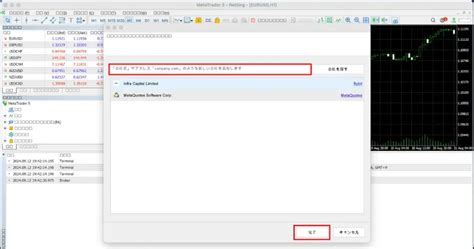 Bybitバイビットのmt5の使い方を解説！ボーナスやレバレッジ・手数料についても紹介