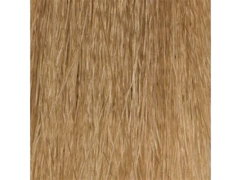 머리 염색 와일드 컬러 내성 크림 페인트 180 Ml 색상 8nw A Laght Blond헤어 칼라 믹싱 볼