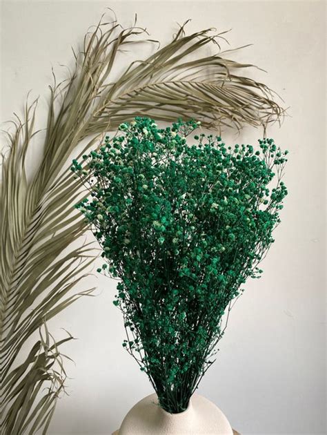 Стабилизированные цветы и зелень – купить в магазине | Dried Flowers Moscow