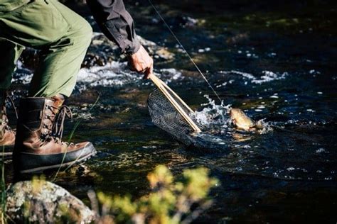 Sinister Sql Queries And How To Catch Them Splunk Splunk