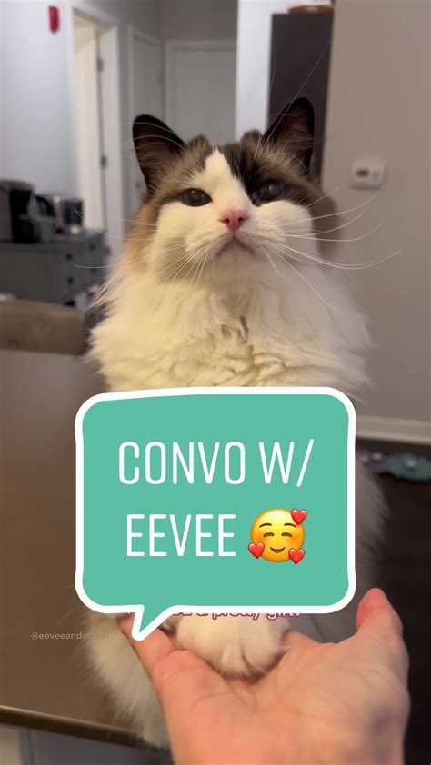 Eevee And Yoshi On Tiktok R Grushenko