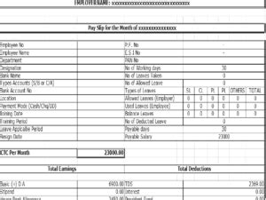 Payslip Templates Word Excel PDF Formats