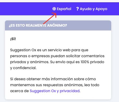 How Do I View Suggestion Ox In Other Languages Suggestion Ox Knowledge Base