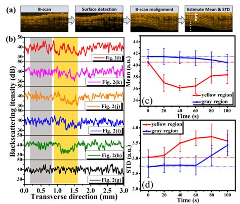 A Flowchart Of The Developed Algorithm For Estimating The Intensity