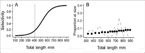 Plots Of A Size Selectivity Of Bottom Longline Gear Estimated Using