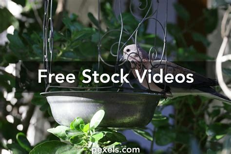 Natural Interaction Videos Download The Best Free 4k Stock Video Footage And Natural Interaction