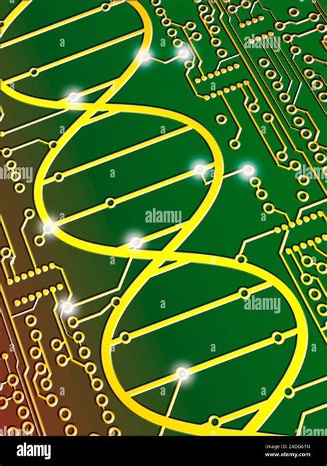 Dna Circuit Board Computer Artwork Of A Molecule Of Dna