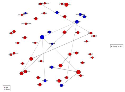 Protein Interaction Network Each Node In The Interaction Network
