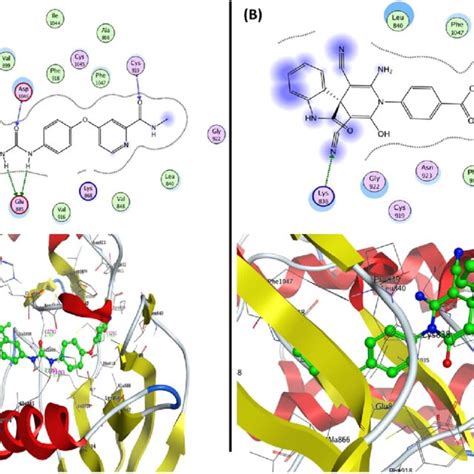 Representation Of The 2d And 3d Binding Modes Of A Co Crystallized