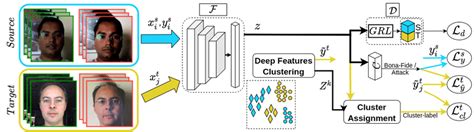 architecture of the proposed deep clustering guided domain adaptation