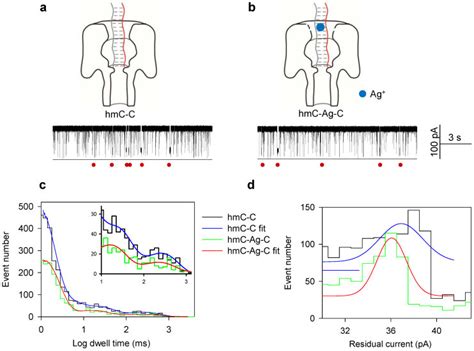 The Representative Current Traces Of HmC C A And HmC Ag C B Download Scientific Diagram