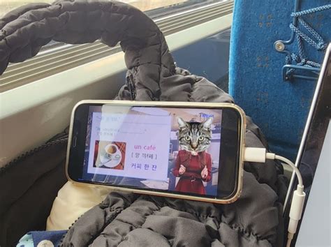 [시원스쿨 프랑스어 내돈내산 후기] 여행 프랑스어 공부하기 2 네이버 블로그