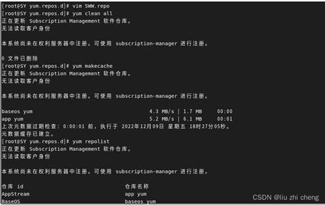 linux redhat9创建软件仓库 rhel9仓库 csdn博客