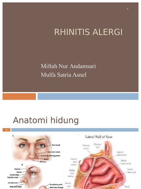 Rhinitis Alergi Pdf