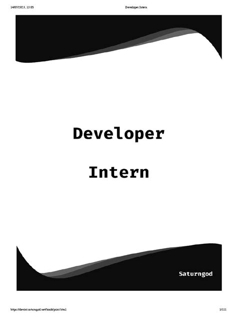 Developer Intern Pdf