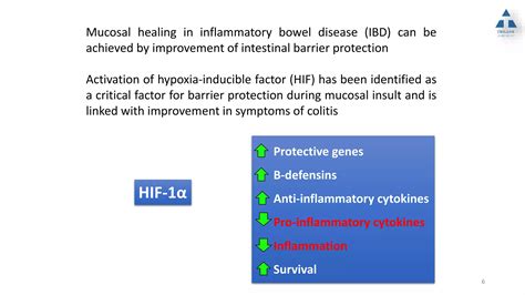 Ulcerative Colitis Protocol Presentation Pptx