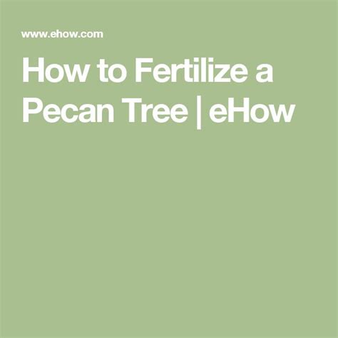 How To Fertilize A Pecan Tree Hunker Pecan Tree Pecan Fertilizer