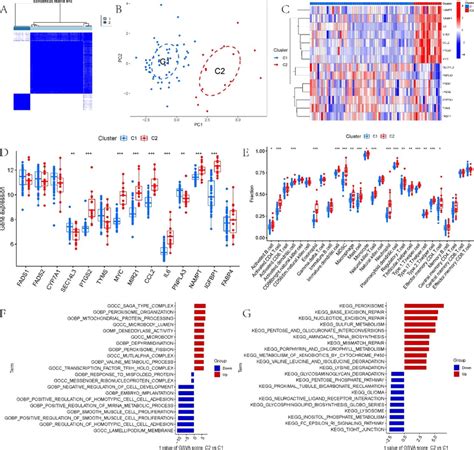 lmrg related subgroups in nafld a consensus clustering matrix with
